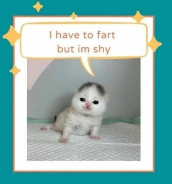 45 Funny Pictures Guaranteed To Jumpstart Your Day With Laughter (May ...