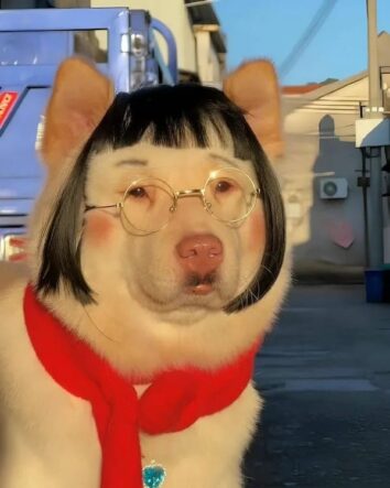 45 Random And/Or Funny Pictures To Perk Up Your Afternoon (May 18, 2024)