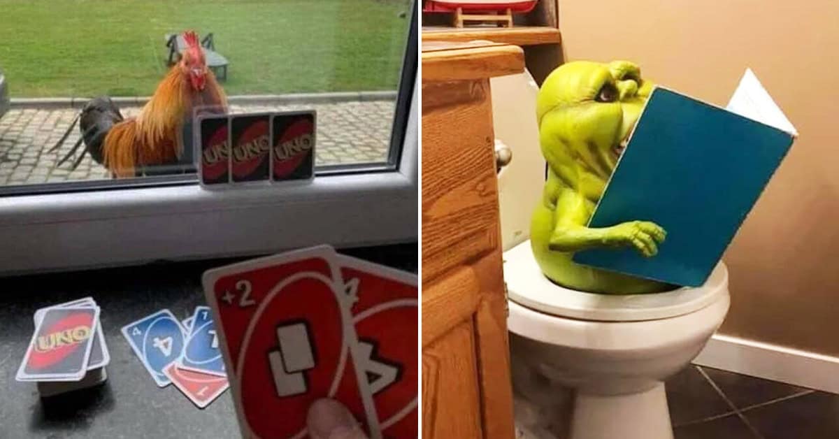 45 Funny And/Or Random Pictures To Spice Up Your Afternoon Scrolling ...