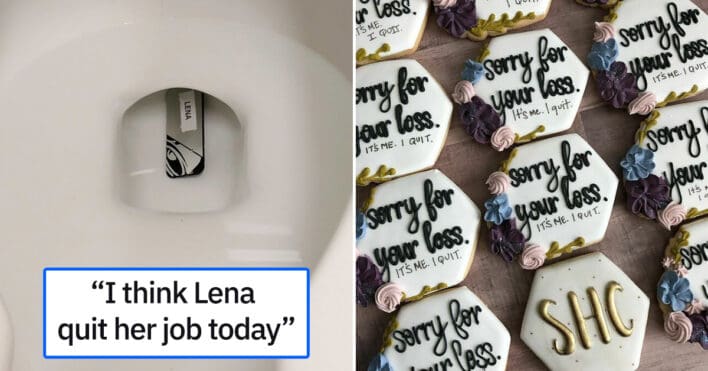 40 Hilarious Ways People Said "I Quit" That Are Instant Classics