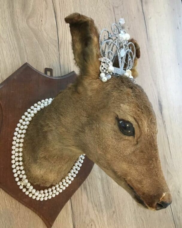 38 Funny Taxidermy Fails You Can File Under Crimes Against Nature