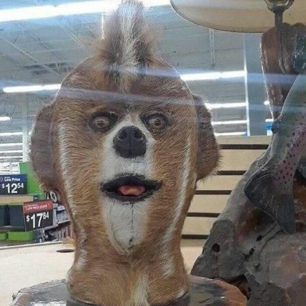38 Funny Taxidermy Fails You Can File Under Crimes Against Nature