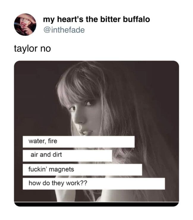 48 Funny Taylor Swift Memes That Are Probably Gonna Get Me Attacked By Swifties But The Laughs ...