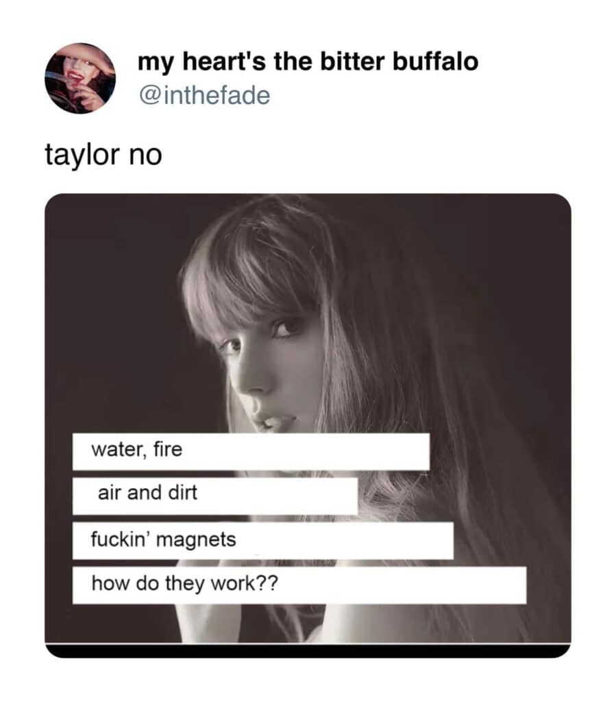 48 Funny Taylor Swift Memes That Are Probably Gonna Get Me Attacked By ...