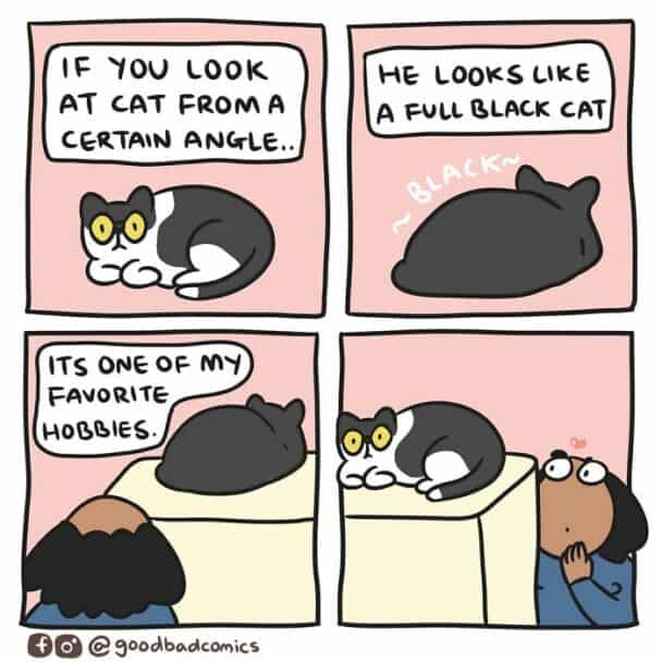 33 Funny Webcomics From Clever Artist Aditi Mali, Creator Of GoodBadComics