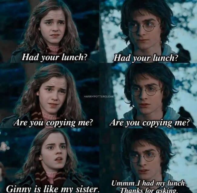 43 Funniest Harry Potter Memes Delivered by Owl This Week (May 1, 2024)