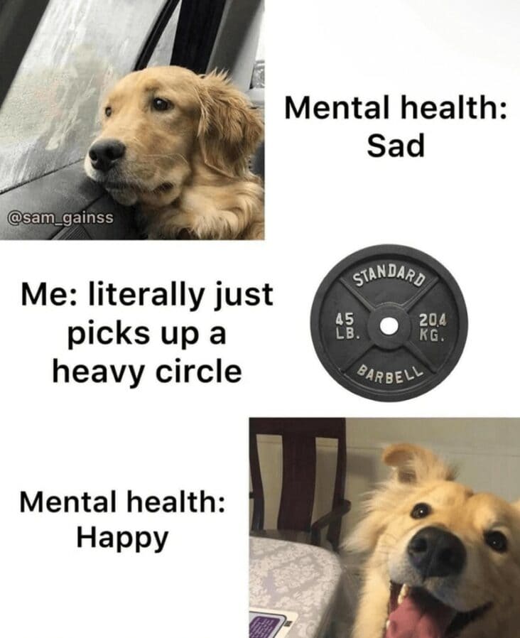 42 Funniest Workout Memes For Gym Rats And Fitness Freaks This Week ...