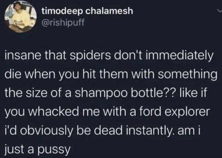 32 Hilariously Specific Memes That Are Truly One Of A Kind