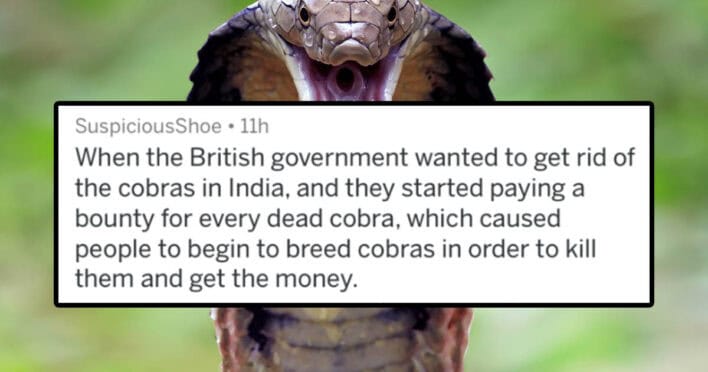 28 Times In History Plans Backfired Massively And Hilariously