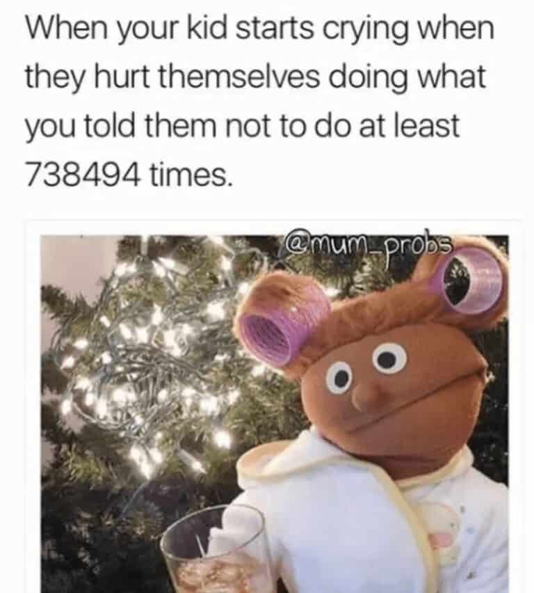 35 Motherhood Memes For Funny Moms Everywhere Holding It Down