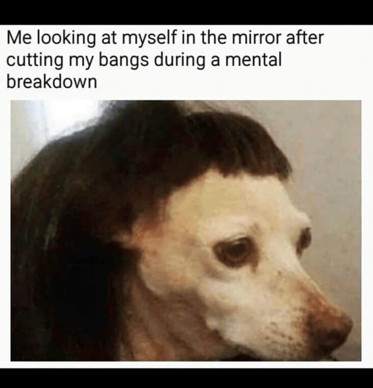36 Funny Memes About Cutting Your Own Bangs From Women Who Made The Mistake