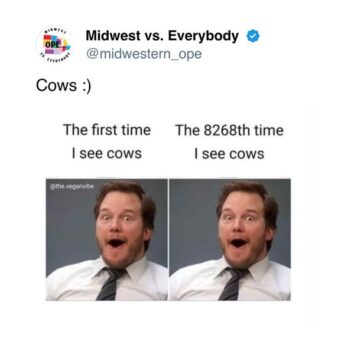 40 Funny Midwest Memes That Go Down Smooth With A Side Of Ranch (May 9 ...