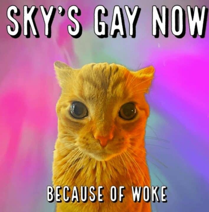 46 Northern Lights Memes For Anyone Who Missed The Aurora Borealis