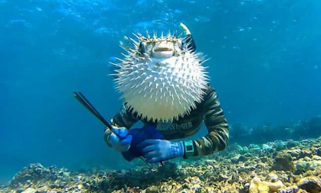 40 Funny Perfectly Timed Photos That Will Totally Mess With Your Head