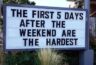 40 Clever Signs That Are Way Funnier Than They Should Be