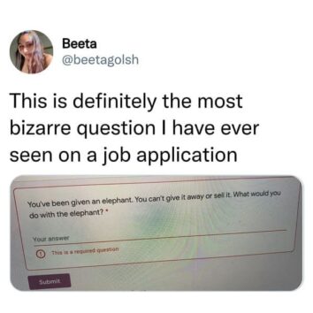 45 Work Memes That Perfectly Capture The Pain And Humor Of Finding A Job