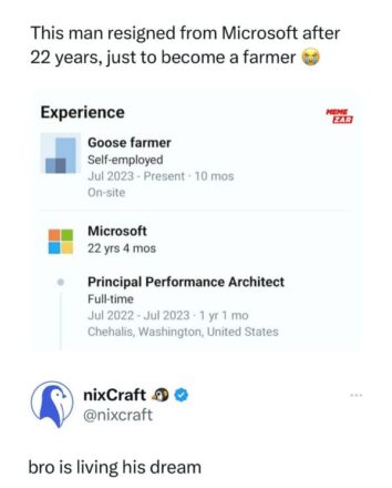 45 Work Memes That Perfectly Capture The Pain And Humor Of Finding A Job