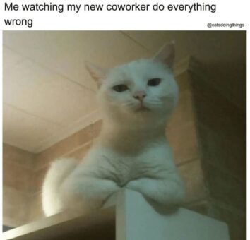 40+ Hilariously Relatable Work Memes To Help You Survive The Workweek ...