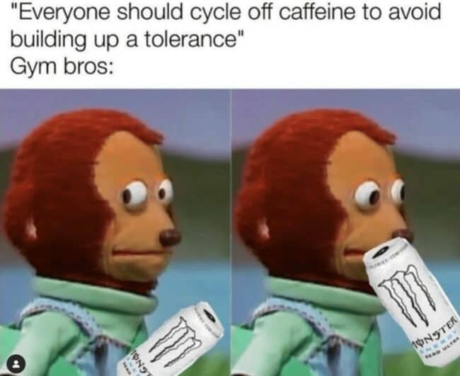 45 Funny Workout Memes Providing Calorie Burning Laughter This Week ...