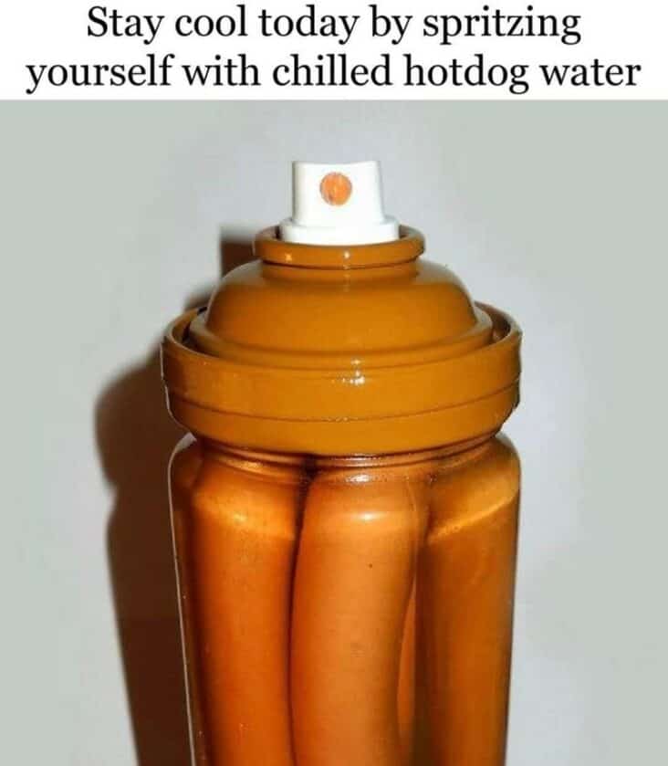 50 Hotdog Memes For Hungry Folks Who Know How To Pick A Weiner