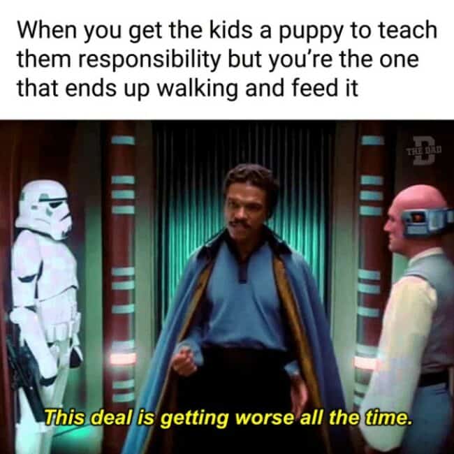 40 Funny Dad Memes For Fathers Figuring Out Parenting Life On The Fly