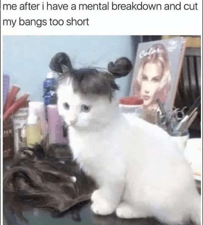 36 Funny Memes About Cutting Your Own Bangs From Women Who Made The Mistake