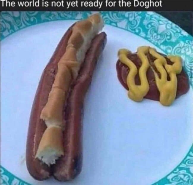 50 Hotdog Memes For Hungry Folks Who Know How To Pick A Weiner