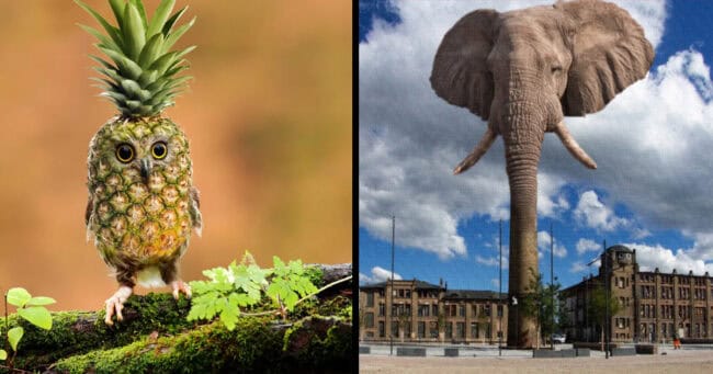 37 Funny Animal Hybrids Created By Mad Photoshop Geniuses