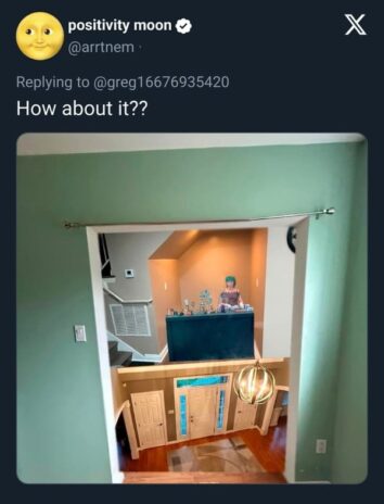 Guy Crowdsources Funny Interior Design Ideas For Random Space In ...