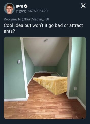 Guy Crowdsources Funny Interior Design Ideas For Random Space In ...