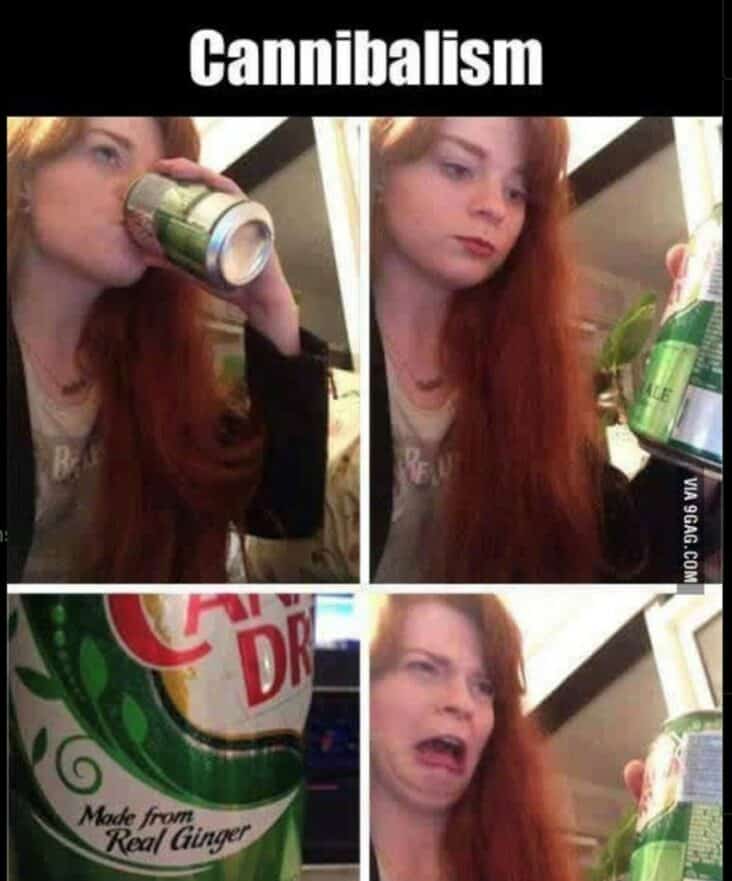 40 Funny Redhead Memes For Ginger Girls Trying Not To Sunburn