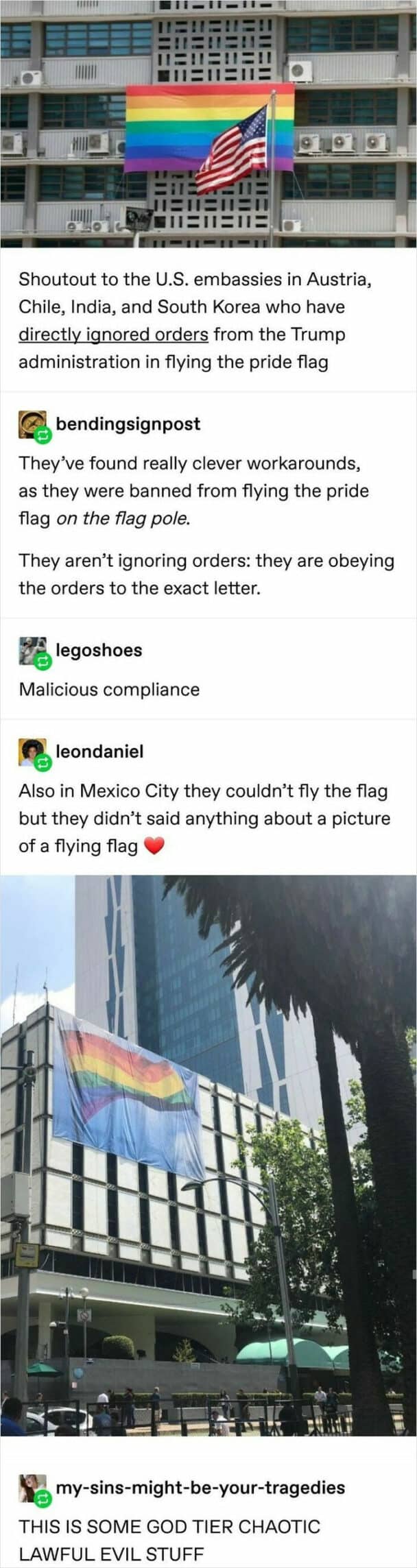 40 Wholesome Examples Of "Chaotic Good" From People With Good ...