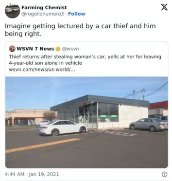 40 Wholesome Examples Of "Chaotic Good" From People With Good ...