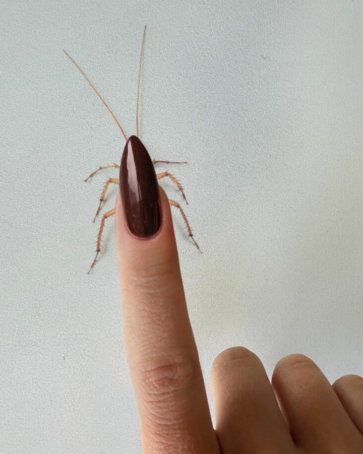 47 Everyday Objects Turned Into Stunning Optical Illusions By Artist ...
