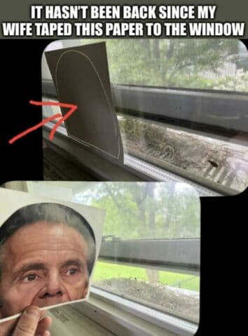 40 Ridiculously Dumb Funny Fixes That Are Hilariously Effective