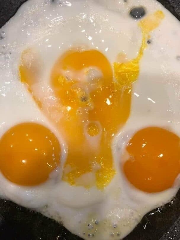 37 Cursed Food Items That Made Us Laugh But Also A Little Sick