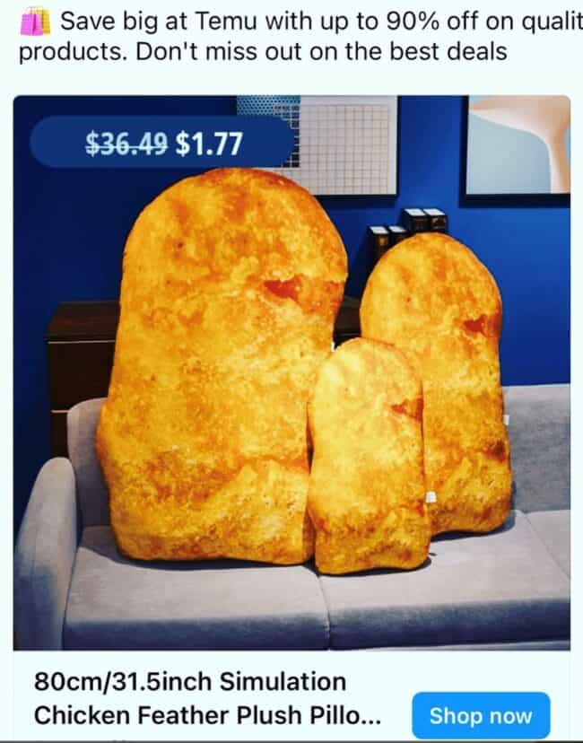 35 Weird Temu Items Sold Online That Will Leave You Scratching Your Head