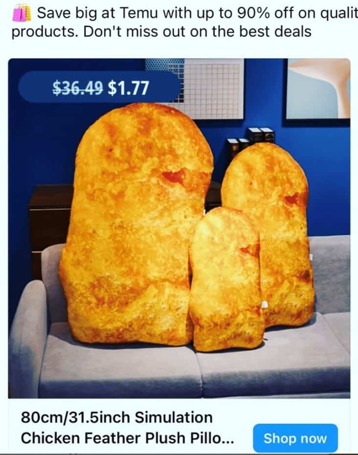 35 Weird Temu Items Sold Online That Will Leave You Scratching Your Head