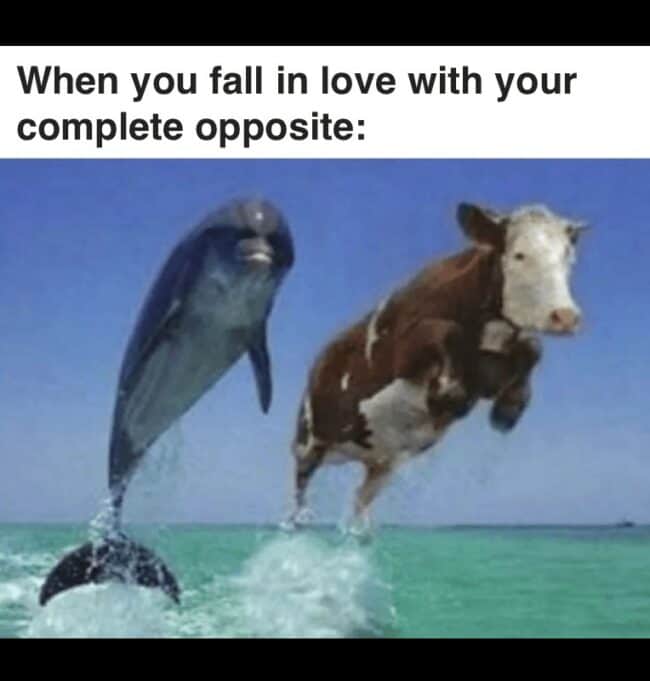 40 Funny Girlfriend Memes From Women Who Are As Serious About Humor As ...