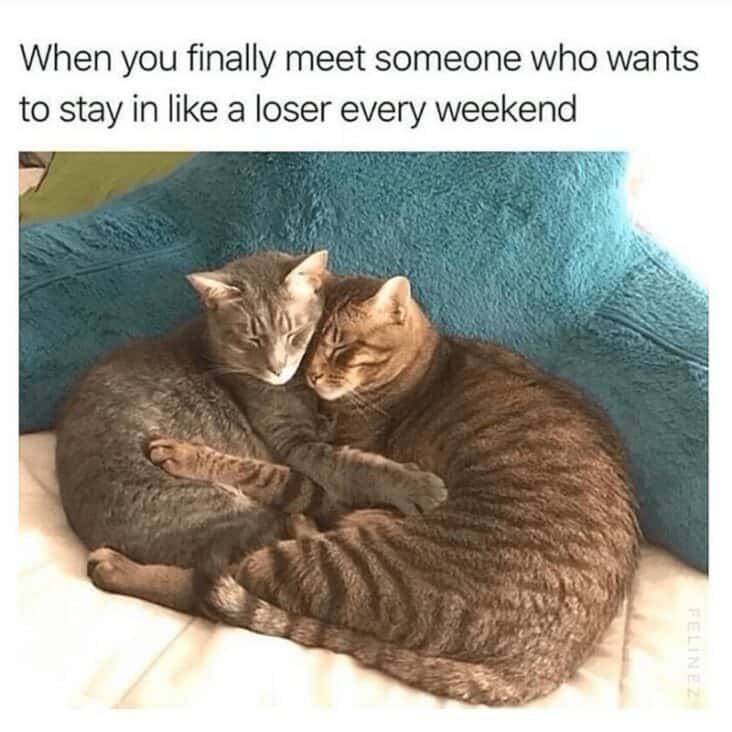 40 Funny Dating Memes For Women On The Apps Trying To Find Love