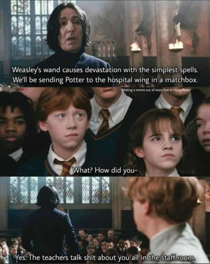 36 Funniest Harry Potter Memes Delivered By Owl This Week (June 18, 2024)