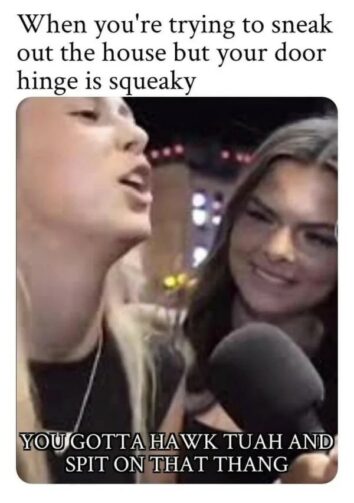 30 Funniest Hawk Tuah Memes That'll Make You Laugh So Hard You Spit On ...