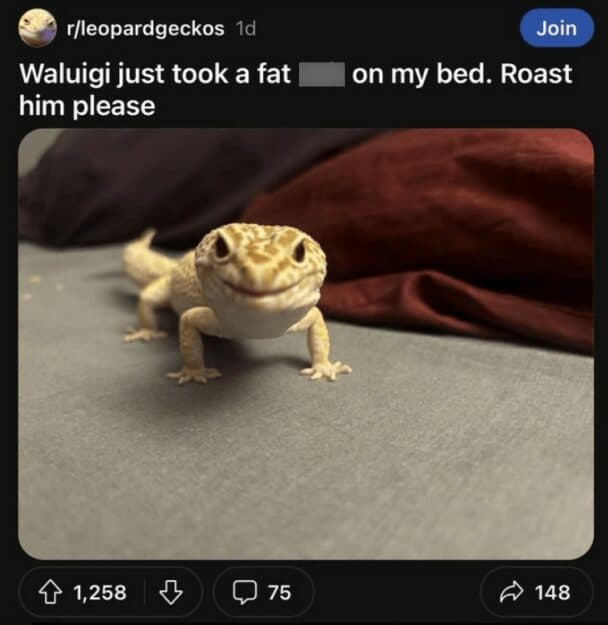 35 Funniest Reddit Posts From The Depths Of The Internet This Week ...