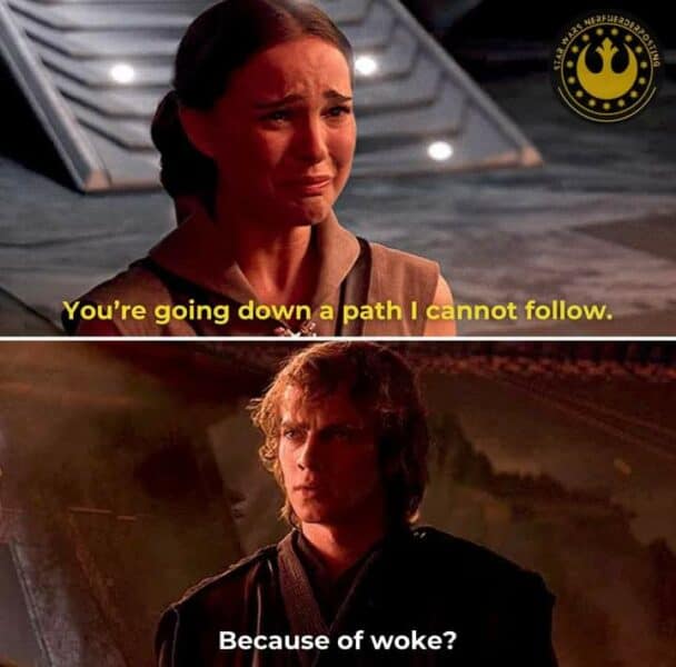 40 Funniest Star Wars Memes Brought To Us From A Galaxy Far, Far Away ...