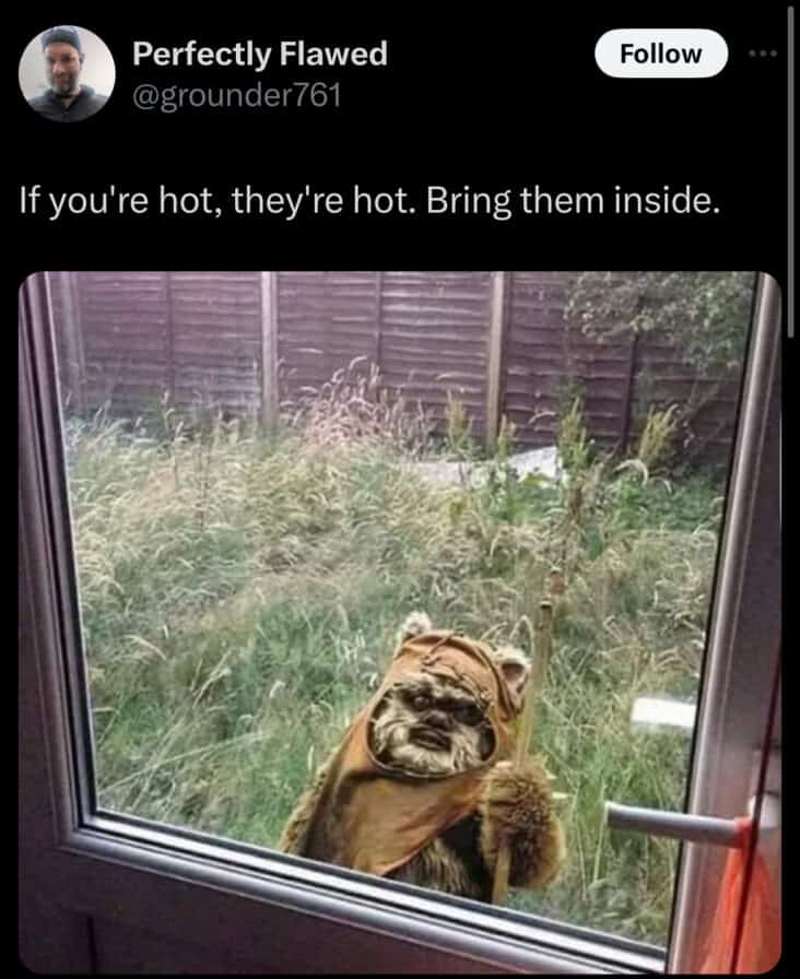 40 Funniest Star Wars Memes Brought To Us From A Galaxy Far, Far Away ...