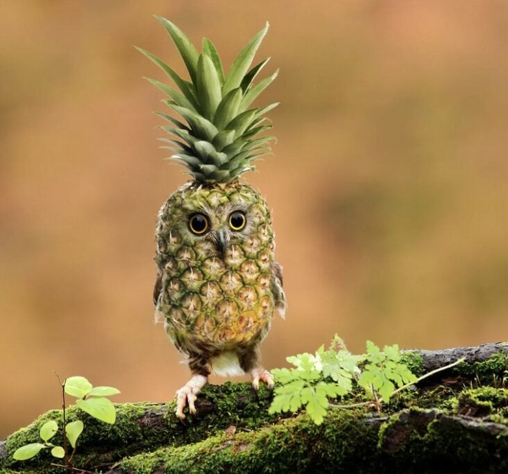 37 Funny Animal Hybrids Created By Mad Photoshop Geniuses