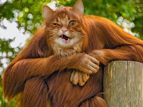 37 Funny Animal Hybrids Created By Mad Photoshop Geniuses