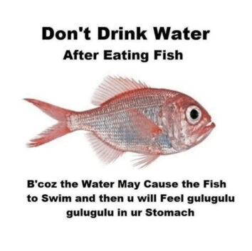 45 Funny Animal Memes That Will Make You Howl With Laughter (June 21, 2024)