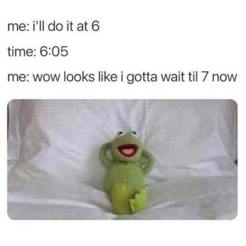 45 Funny Animal Memes That Will Make You Howl With Laughter (June 21, 2024)