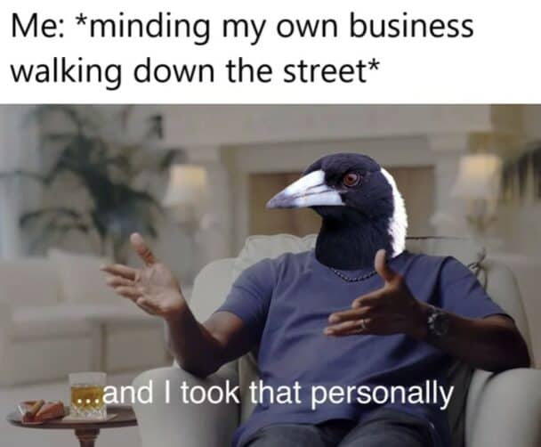 38 Australian Memes With That Special Down Under Humor